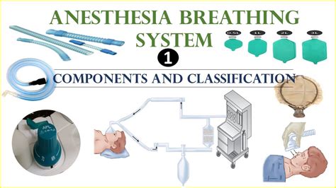 Anesthesia Machine Circle System At Elijah Byrnes Blog
