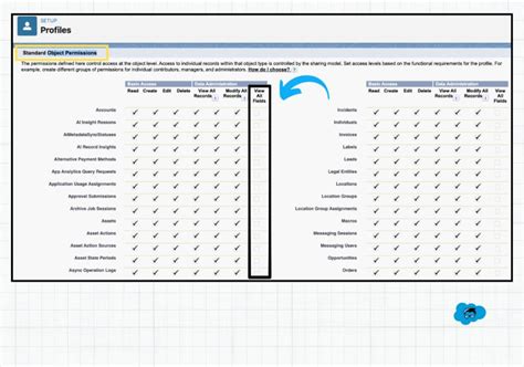 Salesforce Geek On Linkedin Salesforce Spring25 Salesforcegeek