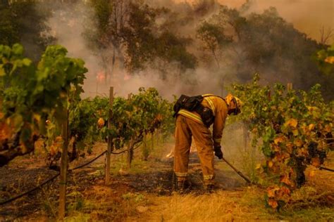 Glass Fire Quadruples In Size 80 Napa Valley Homes Burn Los Angeles