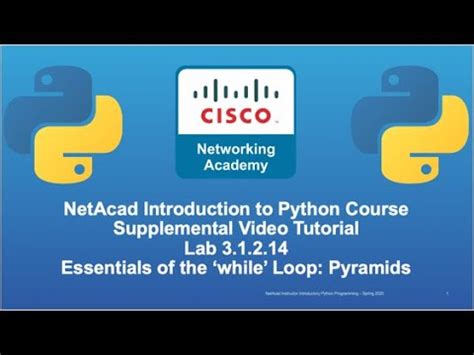 Cisco NetAcad Introduction To Python Course Supplemental Lab Tutorial Solution Set Lab
