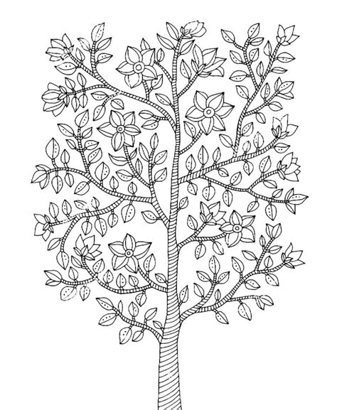 29 Coloring Pages Of Tree Branches Sreevangie