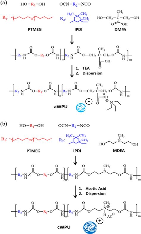 Preparation Of The A Awpu And B Cwpu Download Scientific Diagram