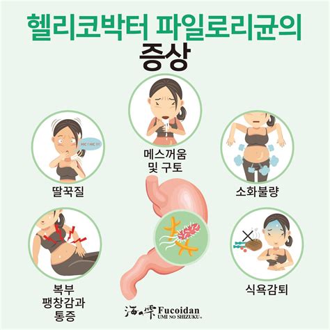 헬리코박터 파일로리균 감염 증상