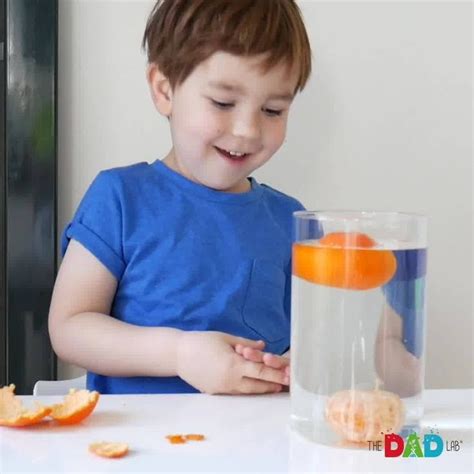 Fun Density Science Experiment That Can Be Done Even If You Travel