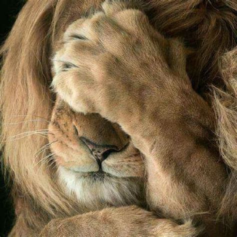 Known Issues In June 2018 Windows 10 Cumulative Updates