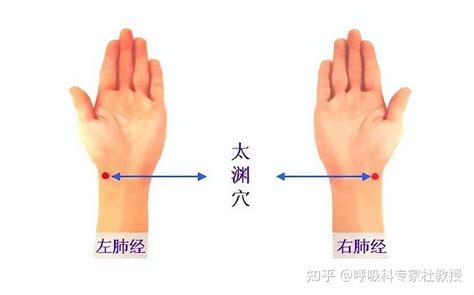 不吃药止咳有妙招枸杞子贴敷太渊穴尤其这2类人 知乎