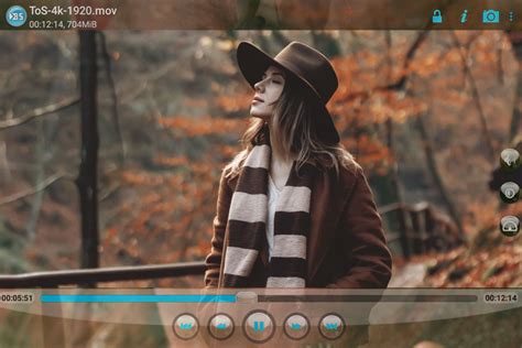Best Vob File Players For Windows And Mac In