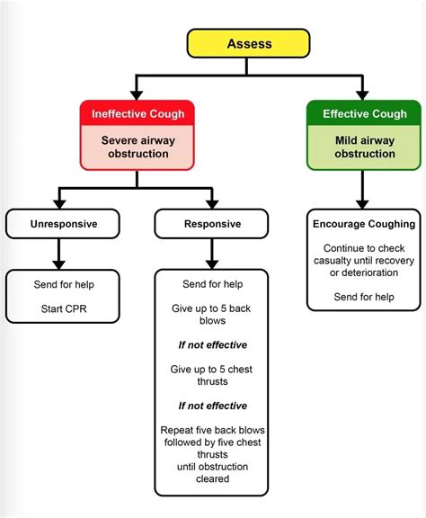 Anzcor Guideline 4 Airway Survive Student Resource Anzcor Guideline 4 Airway Survive Student Resource