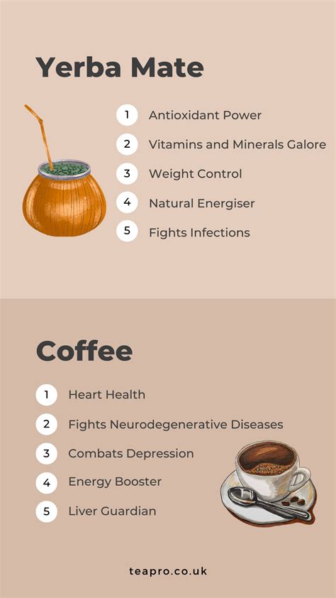 Beyond The Buzz Comparing Yerba Mate And Coffee S Impact On Health And