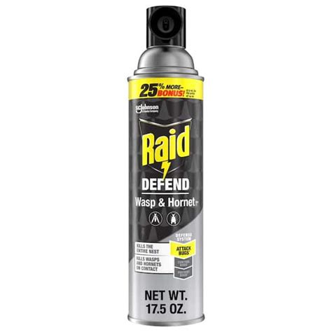Raid Wasp And Hornet Killer Stinging Bug Insecticide For Outdoor Use