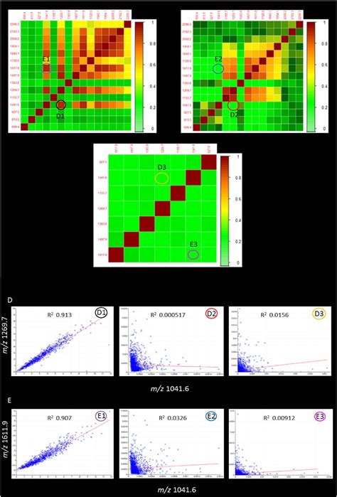 Matrices Of Correlation Coefficients Between Ion Pairs In The Pixels Of
