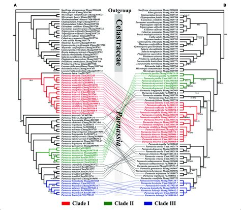 Phylogenetic Relationship Of Parnassia Resolved Based On 73 Cdss Download Scientific Diagram