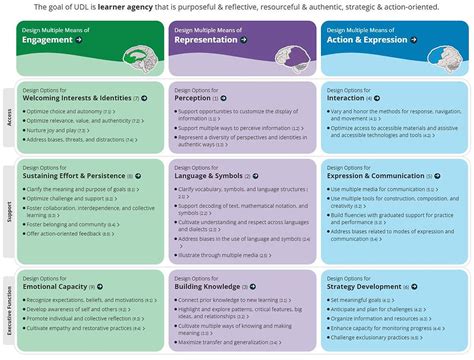 Cast And The Udl Guidelines Open Access 20