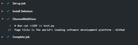 Devtoolsactiveport File Doesnt Exist Error When Running Capybara Tests Using Headless Chrome