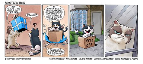 Grumpy Cat Comic Strips Dynamite