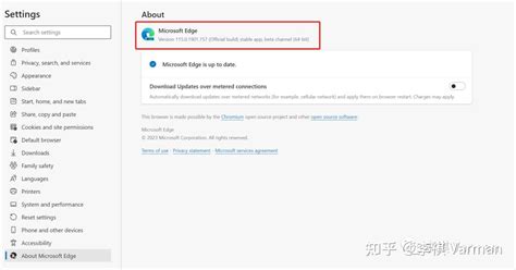 【首发】windows Copilot 国内安装手册 知乎