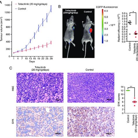 The Jak3 Stat5 Signalling Pathway Is Activated In Itk Syk Transduced Download Scientific