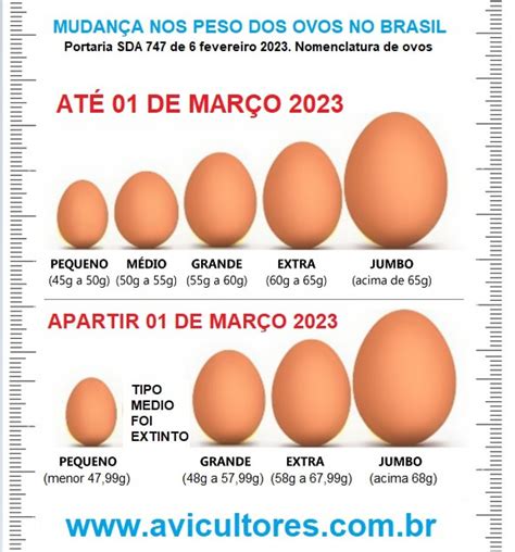 Quanto Pesa Um Ovo De Galinha Retoedu