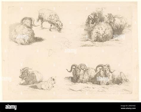 Four Performances With Sheep And Goats Pieter Gerardus Van Os C 1800 1839 Print Netherlands