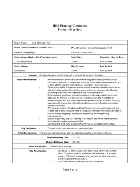 2025 Project Overview Template Fillable Printable PDF Forms Handypdf
