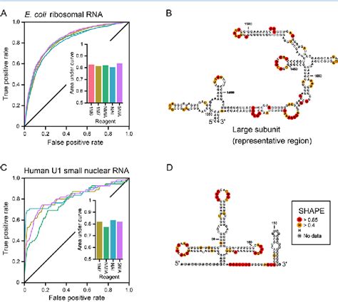 Figure 2 From Guidelines For SHAPE Reagent Choice And Detection Strategy For RNA Structure