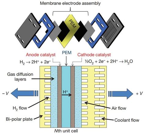 Scheme Showing Fuel Cell Components Unit Cell Cross Section Of The Nth