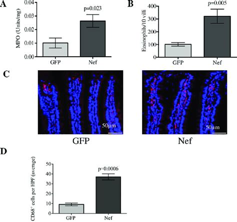 Hippocampal Hiv 1 Nef Expression Induces Intestinal Inflammation A