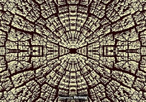 Tree Rings Vector Art Icons And Graphics For Free Download