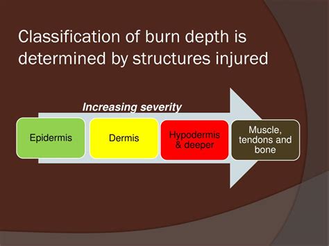 Classification Of Burn Depth At Paula Banks Blog