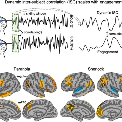 Dynamic Inter Subject Correlation ISC Scales With Changes In The Download Scientific Diagram