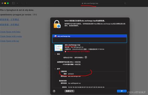 K8s 使用cert Manager证书管理自签 Csdn博客