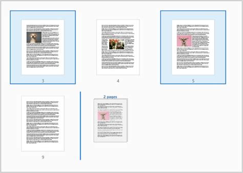 How To Duplicate Pages In Adobe Acrobat Pc And Mac