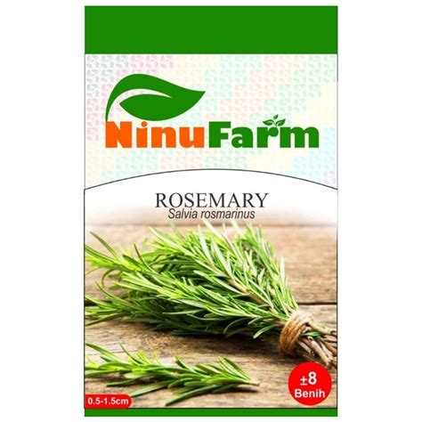 Jual Benih Rosemari Bibit Tanaman Hias Rosemary Shopee Indonesia