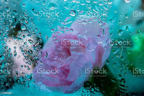 유리에 물방울이 떨어지는 초점 배경에서 흐려졌습니다 엽서 표지 이야기 배경을위한 분홍색 아쿠아 마린 및 녹색 색상의 추상적 인