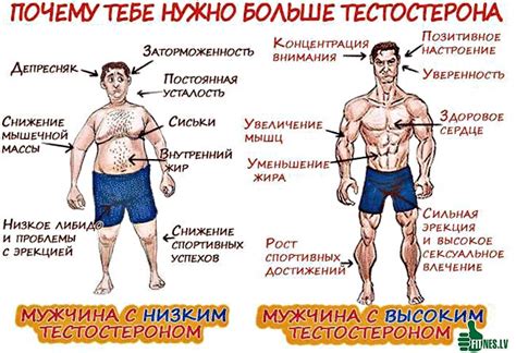 Тестостерон