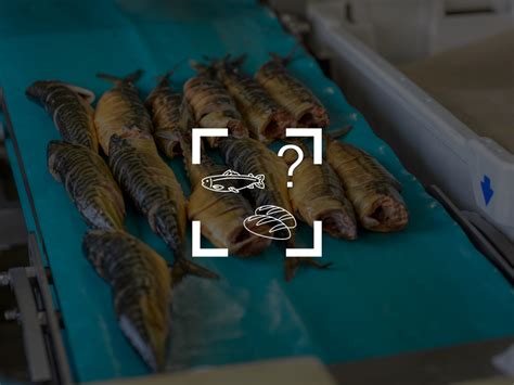 Object Detection Solutions Posttitle