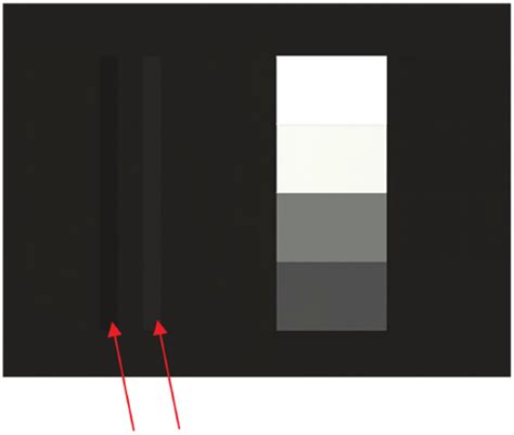 Contrast Enhancement Lenses And Distortion
