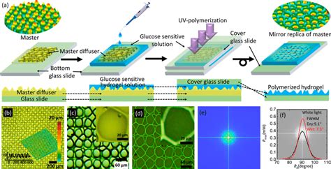 Microimprinting Of Holographic Diffusers In Hydrogel Films A