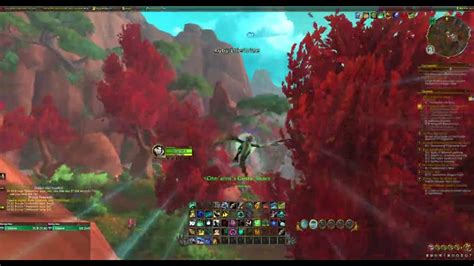 Ruby Lifeshrine Loop Advanced Gold Medal Guide World Of Warcraft