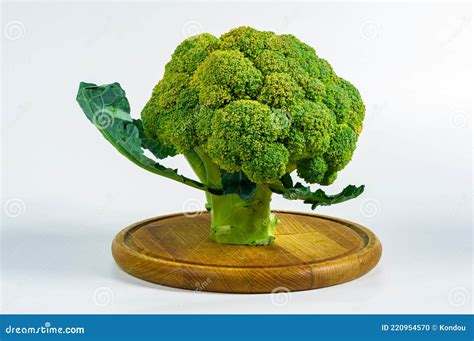 Fantasy Mini Landscape Trees Made With Broccoli On A Black Background Simulating A Miniature