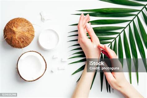 코코넛 오일 핸드 크림 피부 관리 개념을위한 유기농 화장품 코코넛과 열대 야자수 잎흰색 배경 위에 코코넛 로션이나 보습제를
