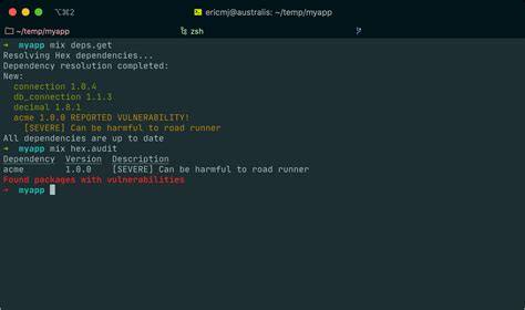 Vulnerability Report System Hex