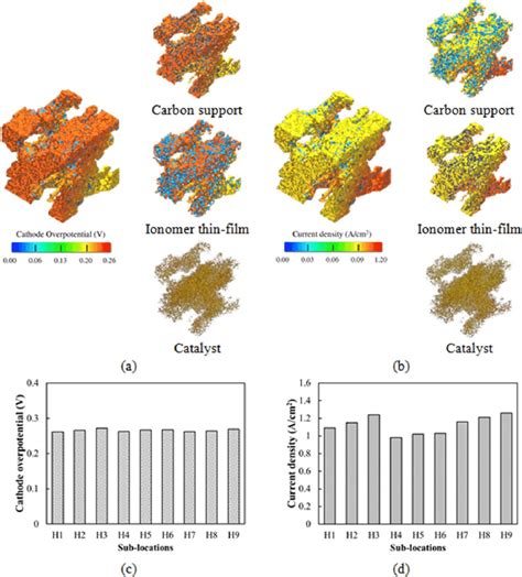 Prediction Of Cathode Overpotential And Current Density Distribution