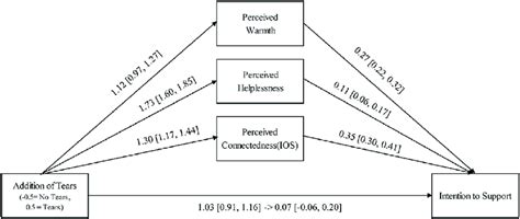 Mediation Model Summarising The Direct And Indirect Effects Of The