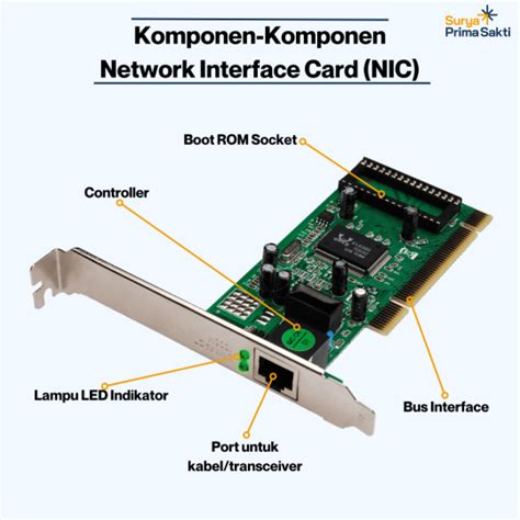 Mengenal Network Interface Card NIC Fungsi Jenis Dan Pentingnya Dalam Kinerja Jaringan PT