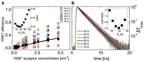 Membrane Protein Dimerization In Cell Derived Lipid Membranes