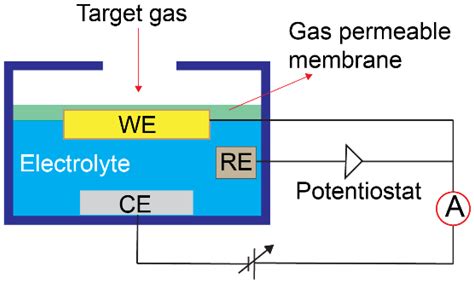 New Trend Of Amperometric Gas Sensors Using Atomic Gold Decorated