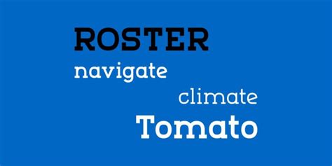 Best Radio Button Css Style Examples Frontendin