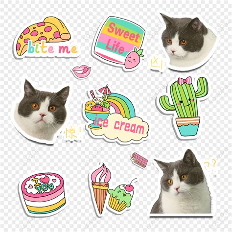 고양이 일러스트 귀여운 스티커 이모티콘허용겨울아름다운 Png 일러스트 무료 다운로드 Lovepik
