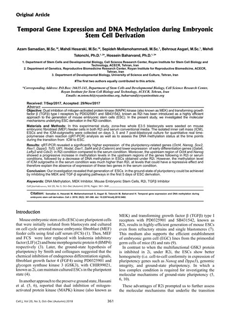 Pdf Temporal Gene Expression And Dna Methylation During Embryonic Stem Cell Derivation